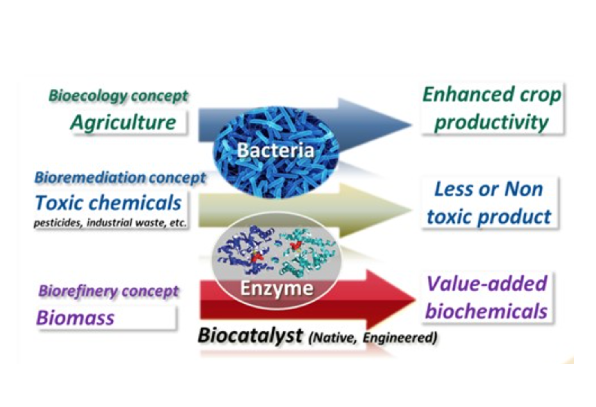 Research Groups – Biochemistry